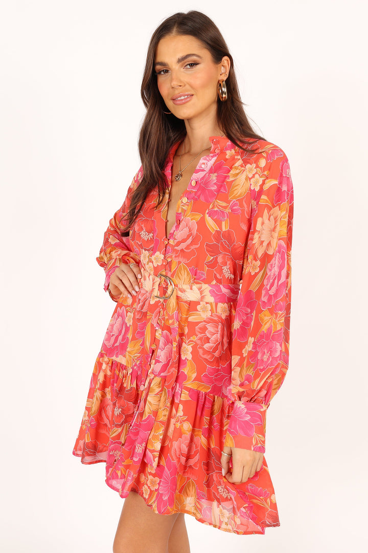 Bianca Long Sleeve Mini Dress - Pink - Petal & Pup