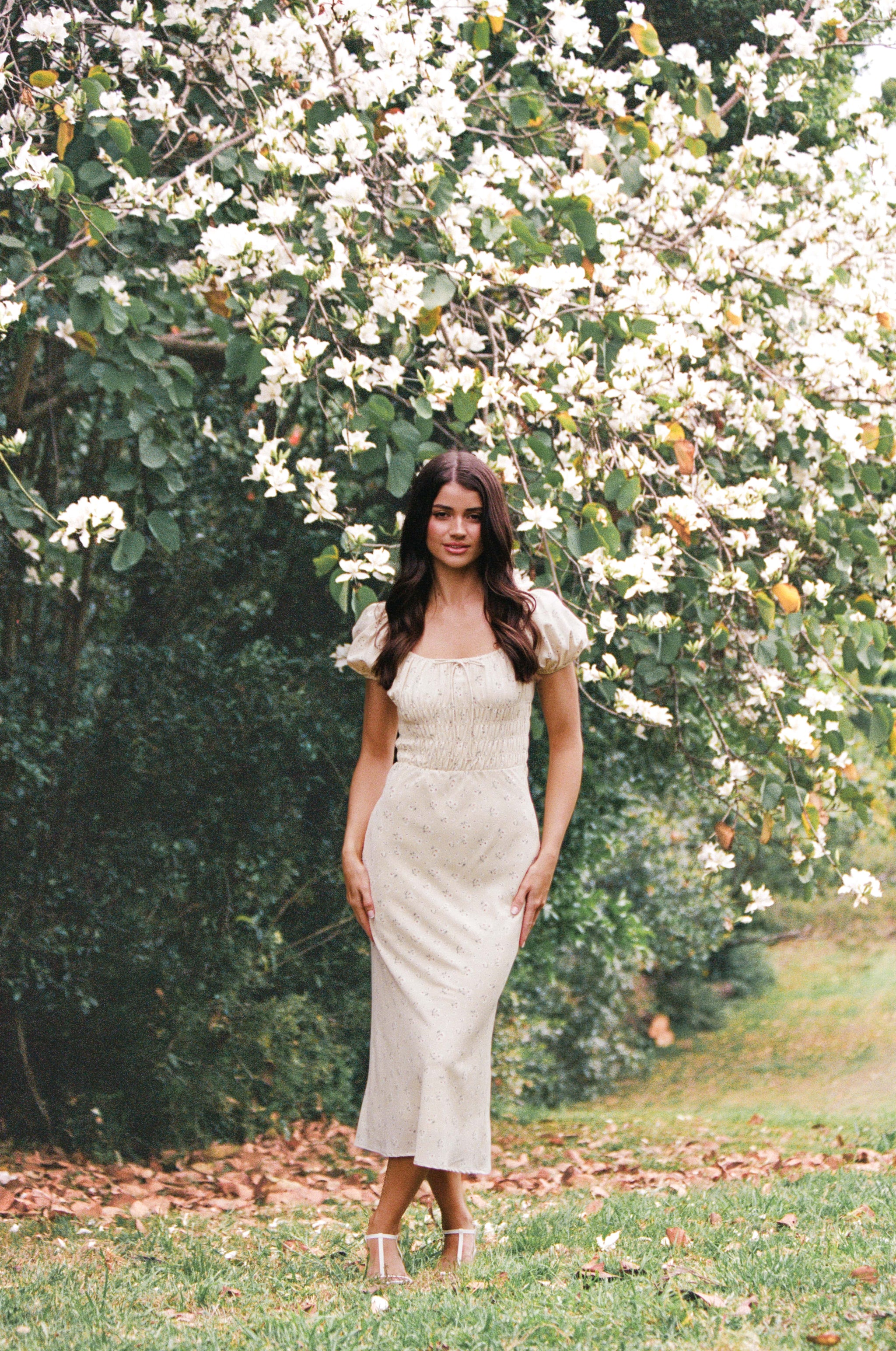 Teigan Midi Dress - Yellow Floral | Petal & Pup